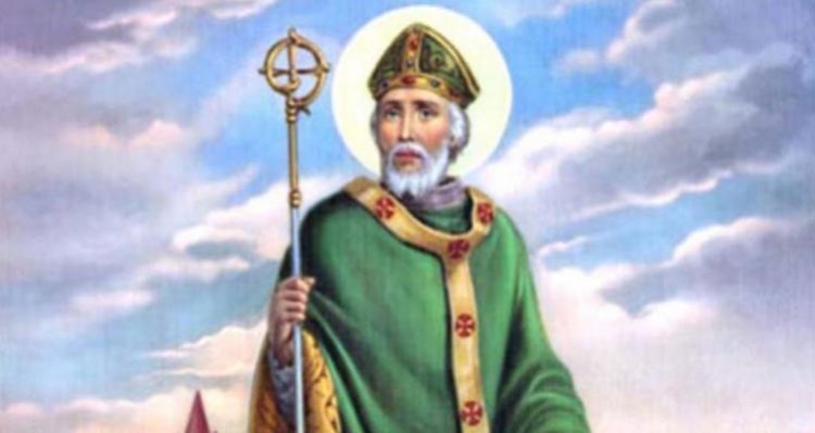Saint Patrick Kidnapped at Sixteen – Theresa Wise Author